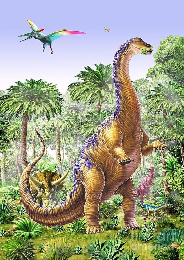 Dinossauros | Dinosaurs #01 - Fox Press™