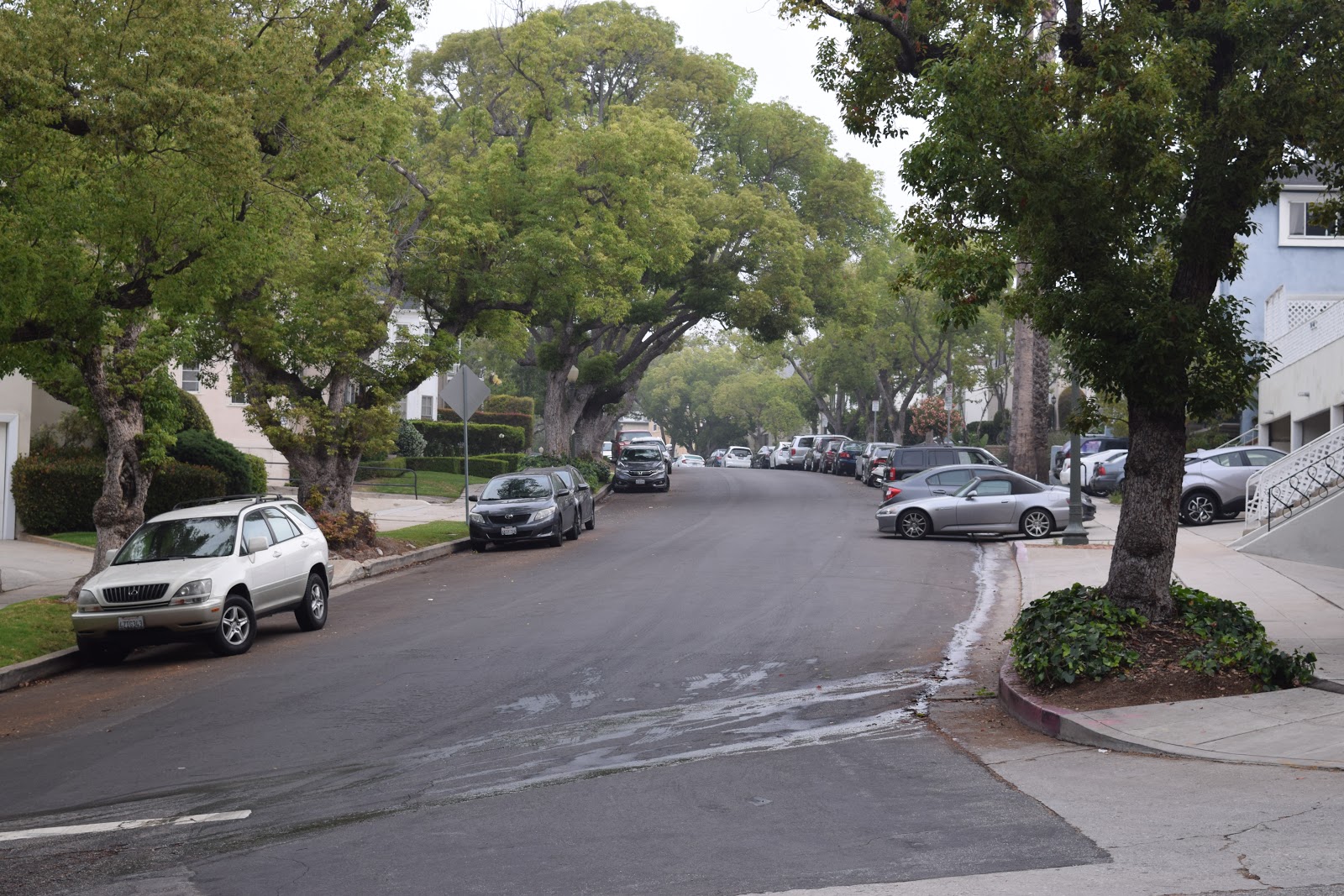 Travel for Life: A Morning Stroll around UCLA's Westwood Neighborhood