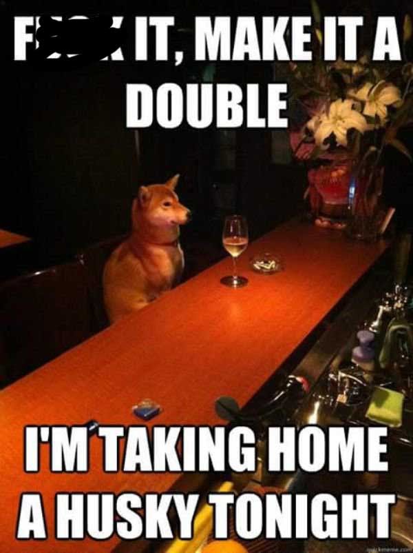 It's The Time For Memes. (25 Pics)