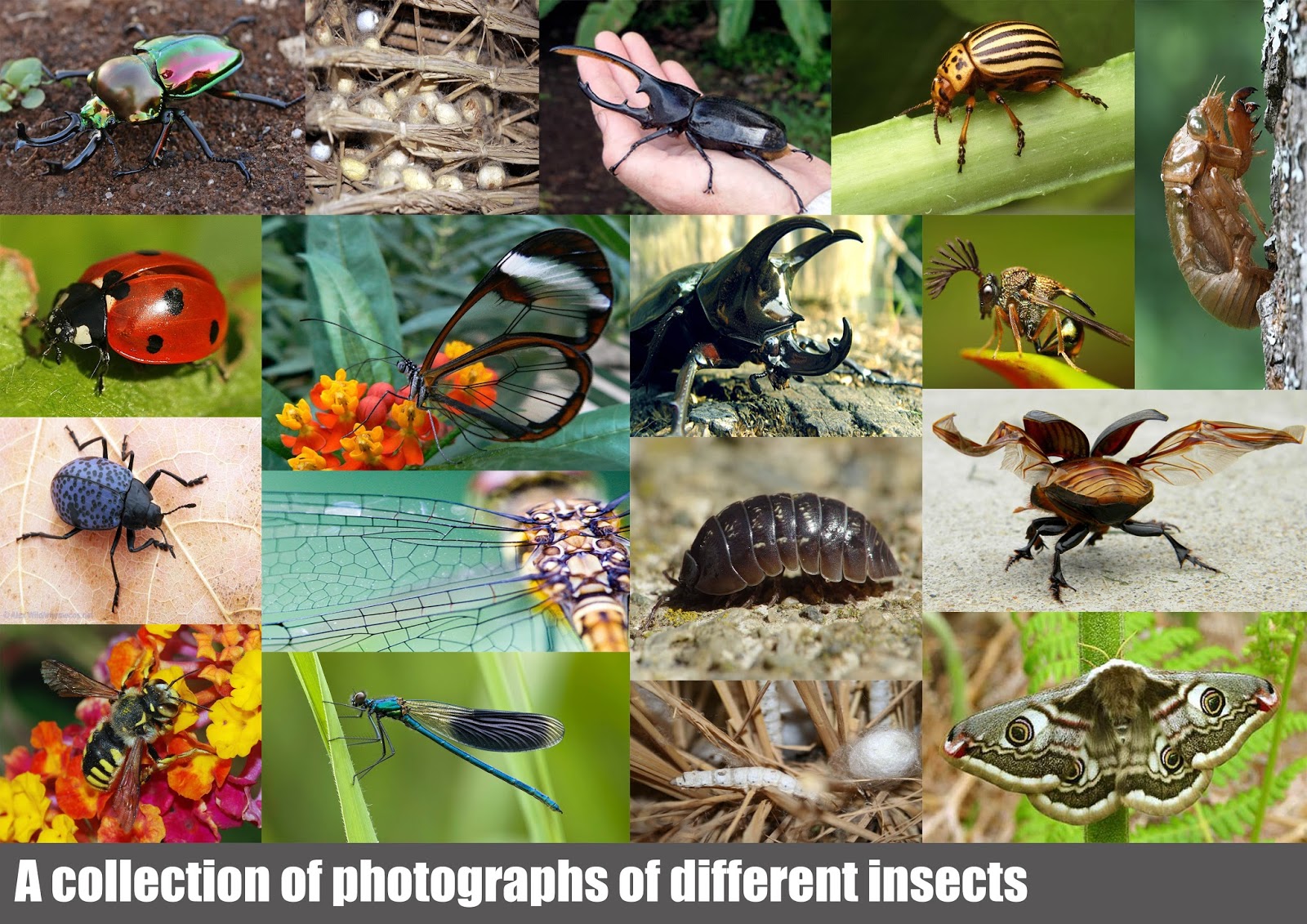 Harriet Wilson's Studio work : September 2015