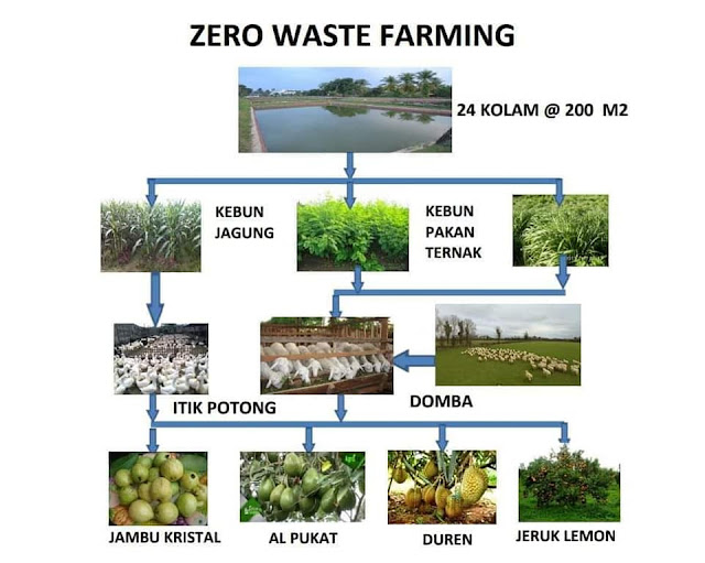 Bertani Dengan Konsep Zero Waste Farming