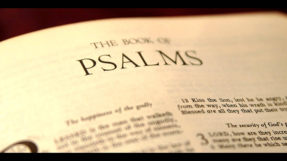 Dig Deeper Psalm 1 2 Contrast