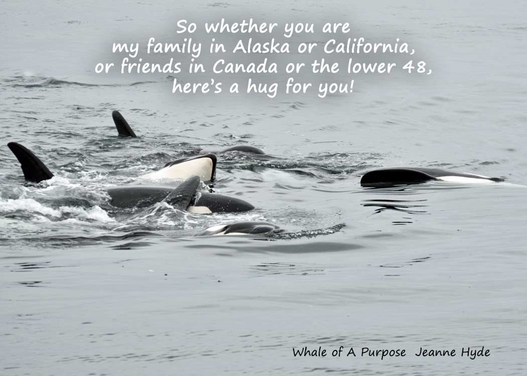 Whale of A 'Purpose': 3-28-2020 A Southern Resident Oca Hug