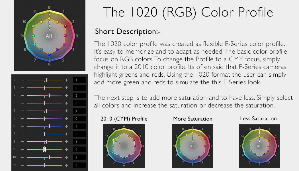 VideoPic Blog: Should I create my own Olympus Color Profile?