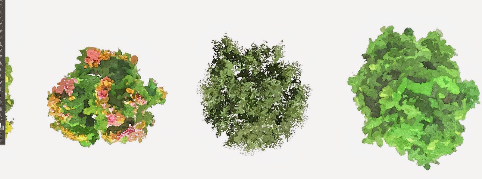 BA Garden Design Y3 Greenwich Uni - Robert Dickie: 2d tree rendering in ...