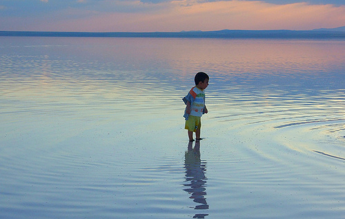 F*** Salt: Salt Lake Monster!