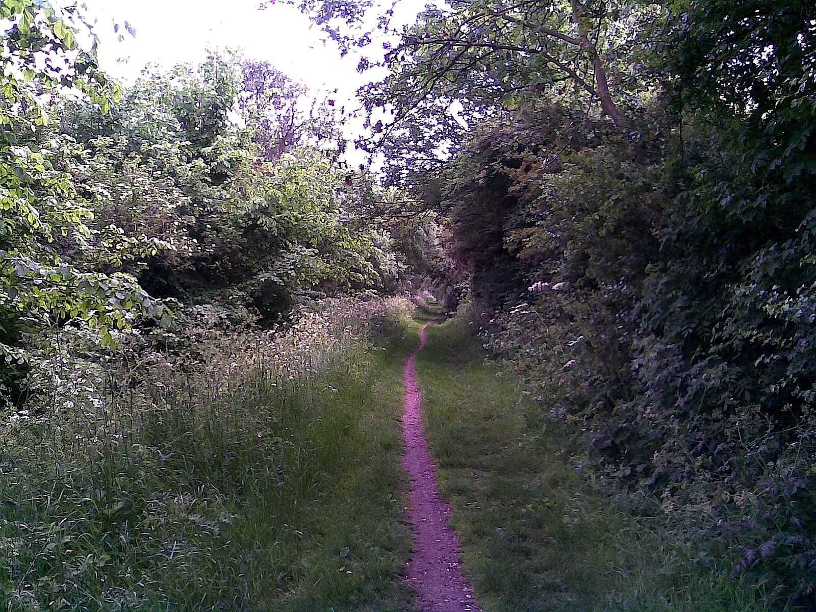 Cambridgeshire walks: History of footpaths