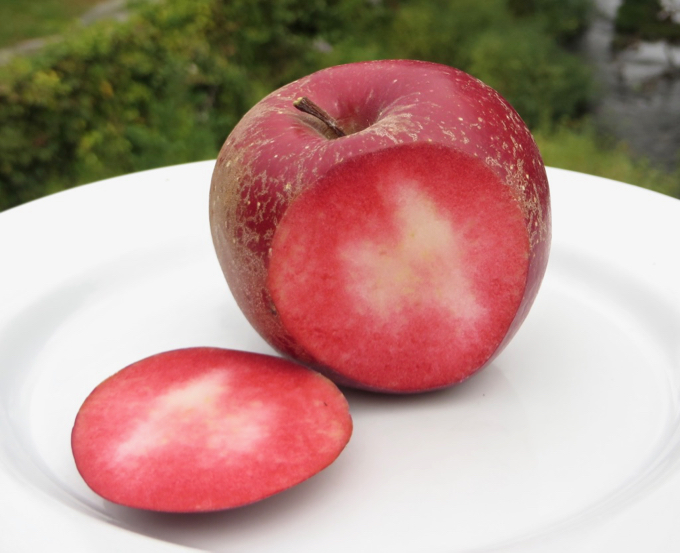 Redfield - Adam's Apples