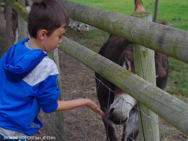 jojoebi designs: Glebe Farm in Congleton