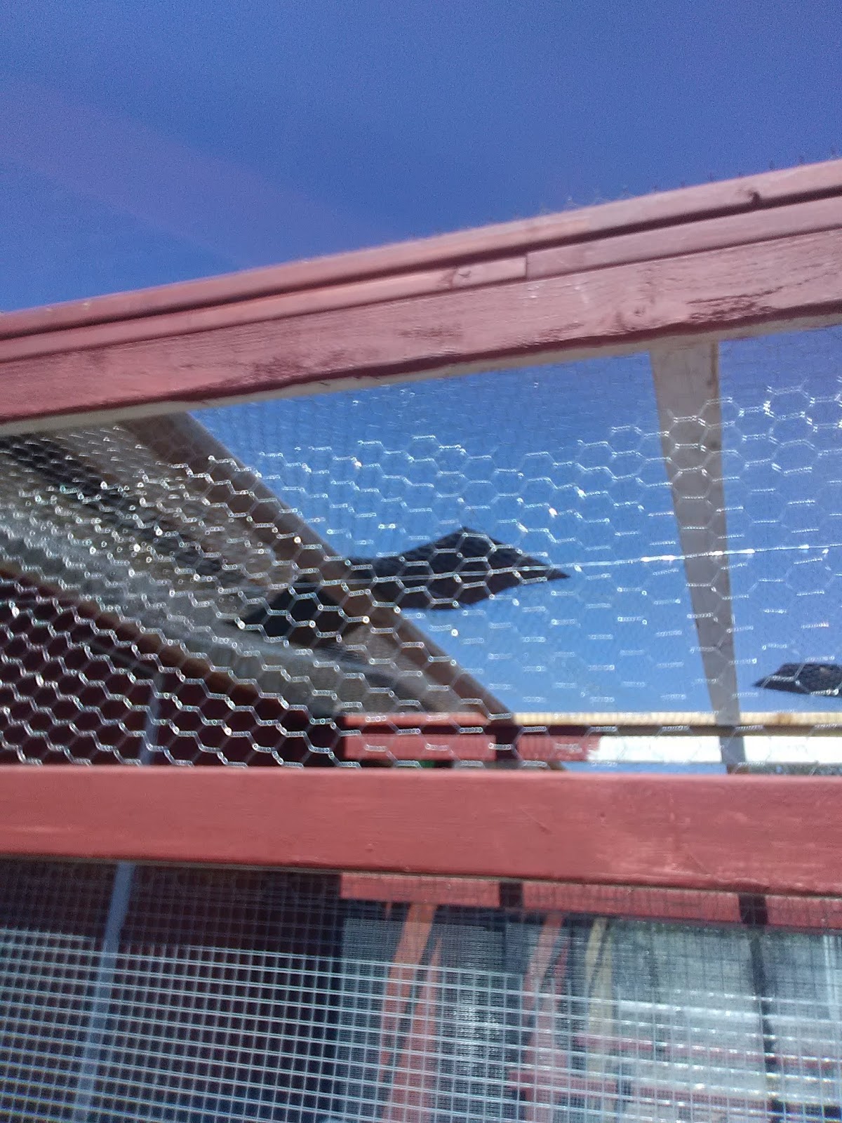 Lee Craven: Lee Craven (Arizona) Overview of Who He is and Some Damages ...