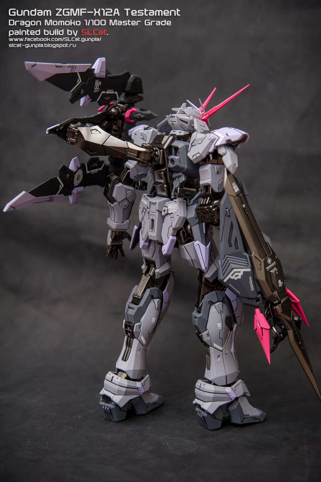 SLCat Gunpla Blog: DM 1/100 MG Testament Gundam