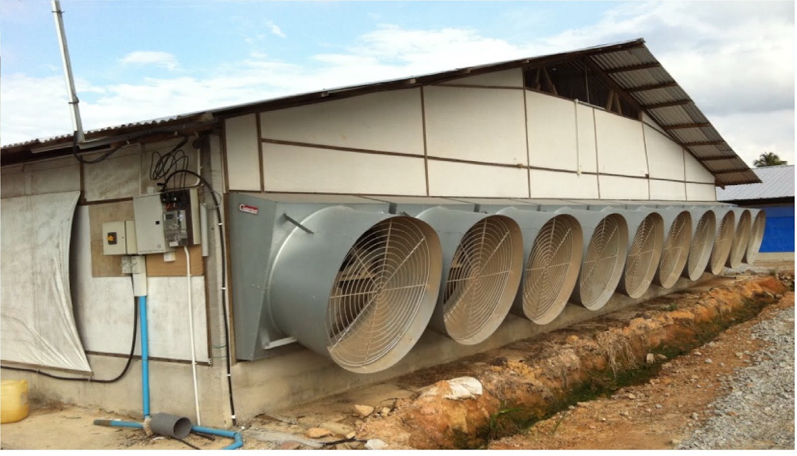 Pembinaan Reban Ayam | Maria Firdaus