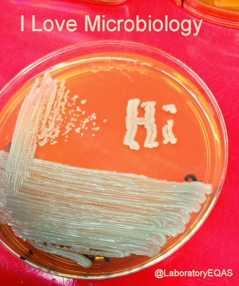 Medical Laboratory and Biomedical Science: Another boring day in the ...