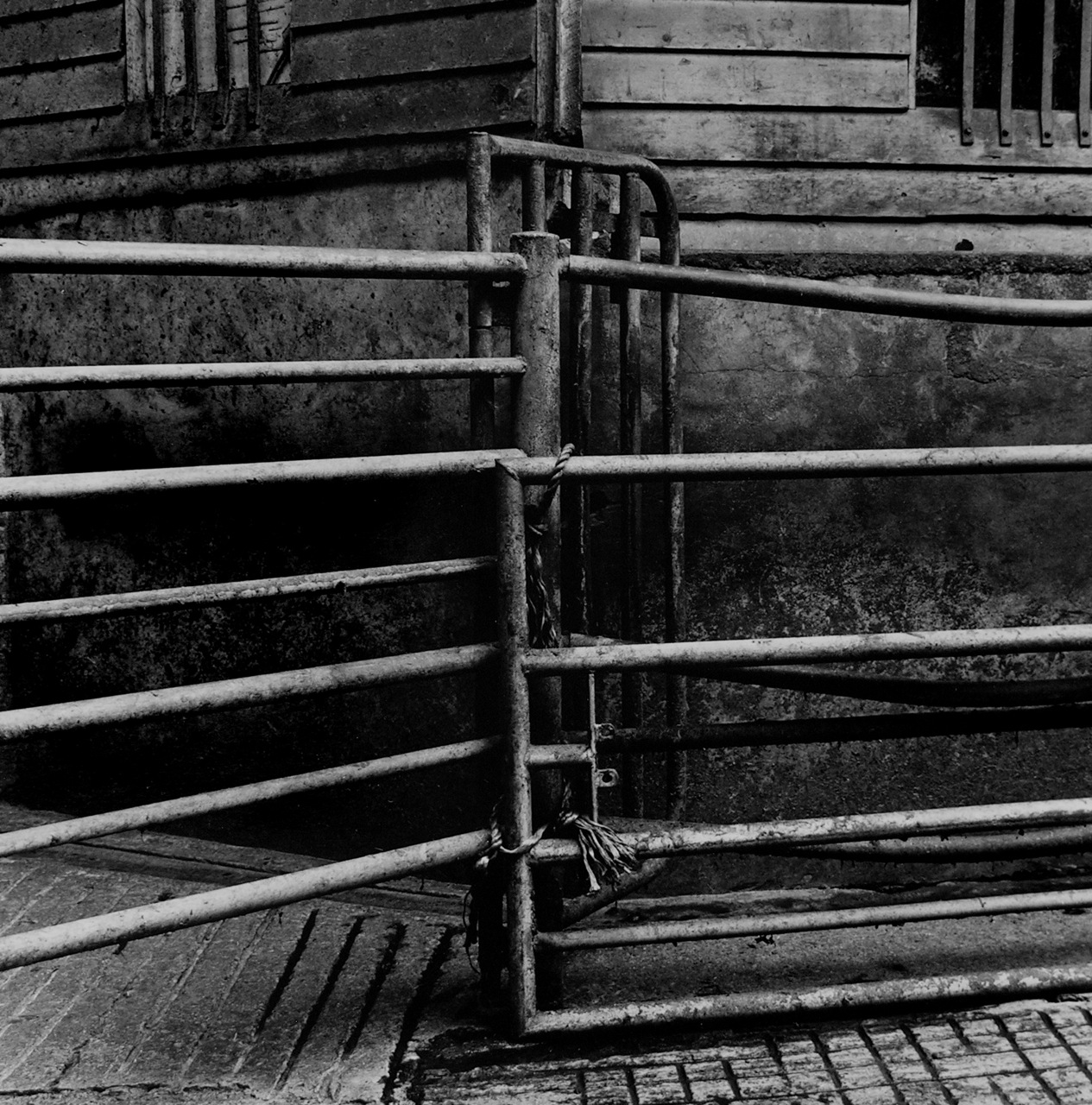 Ennistymon Courthouse Gallery and Studios: “Townlands” Exhibition by ...