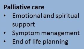 Palliative Performance Scale (PPSv2) - PELAYANAN PERAWATAN PALIATIF DAN ...