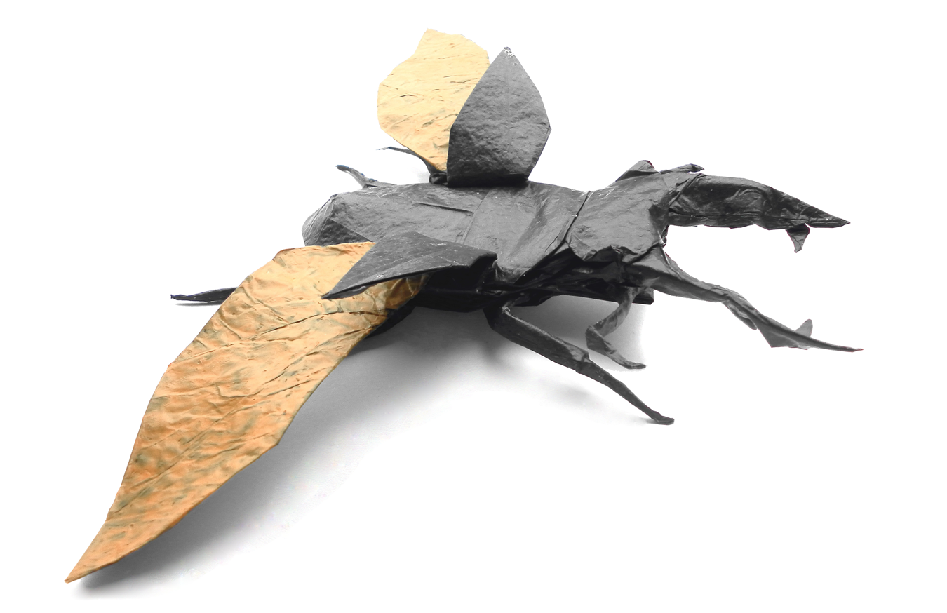 Mariano-Mi mundo el Origami: Flying Stag Beetle
