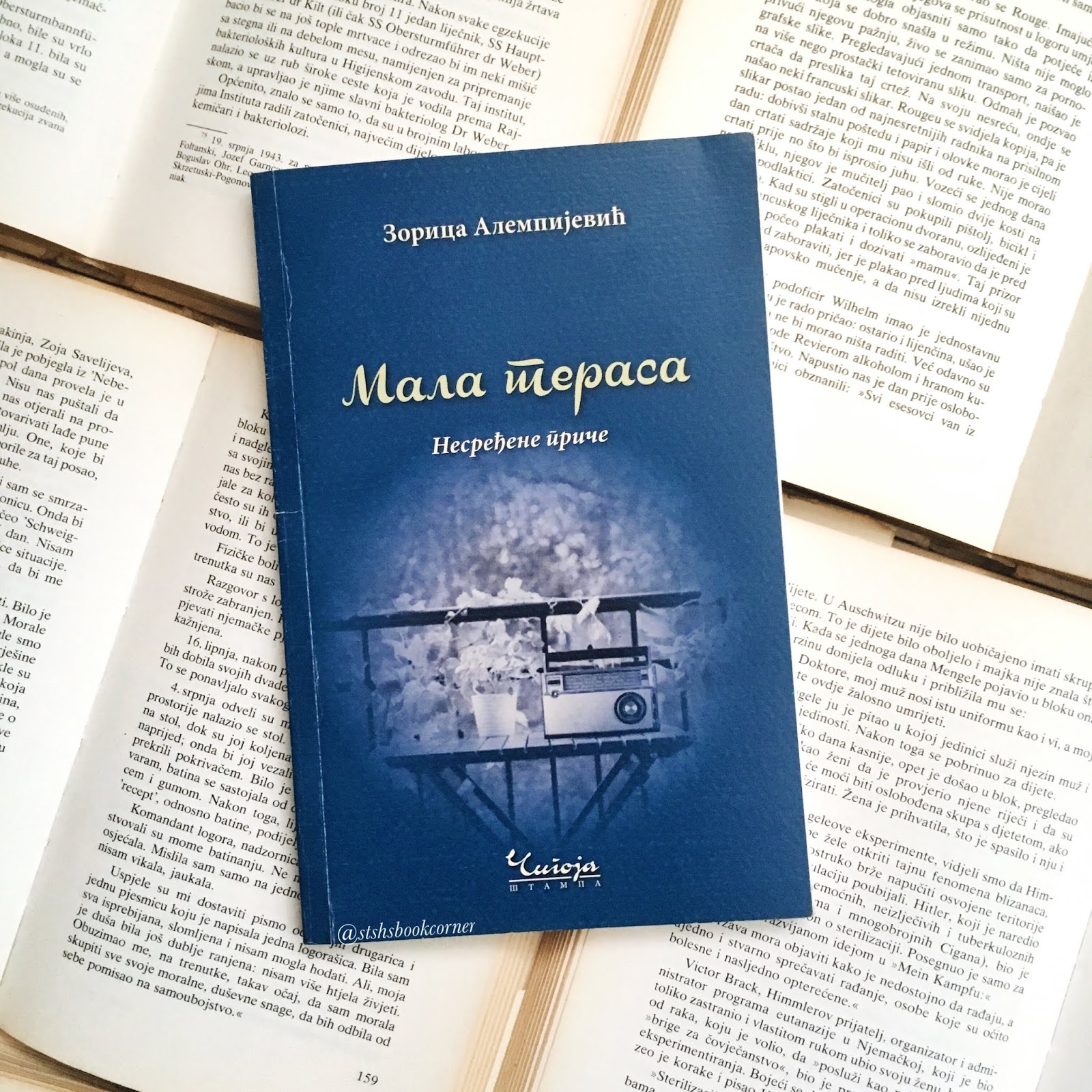 Mala terasa – Zorica Alempijević - Stsh's Book Corner