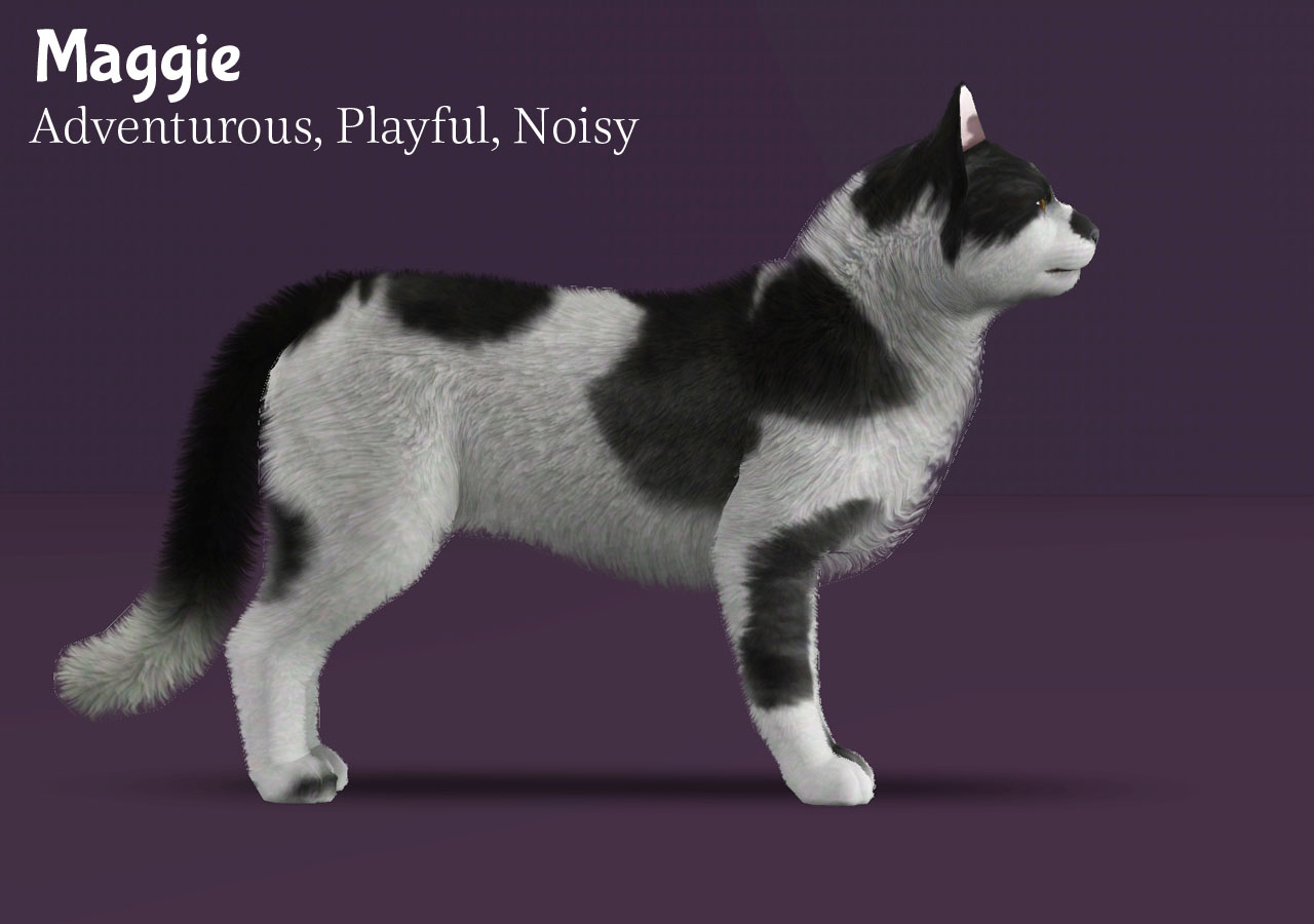 My Sims 3 Blog: Bundle of Kittens! - Five Lovable Cats by PharaohHound