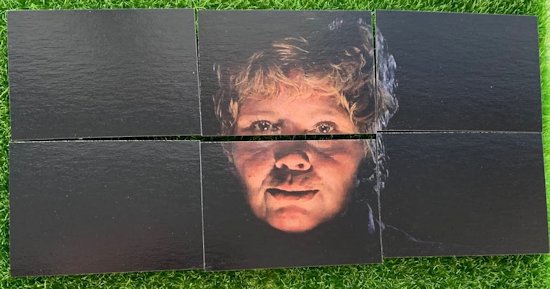 Terry Card's Instagram, Twitter & Facebook on IDCrawl