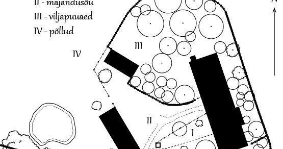 Tulp ja tulp: KAUNIS KODUAED 11