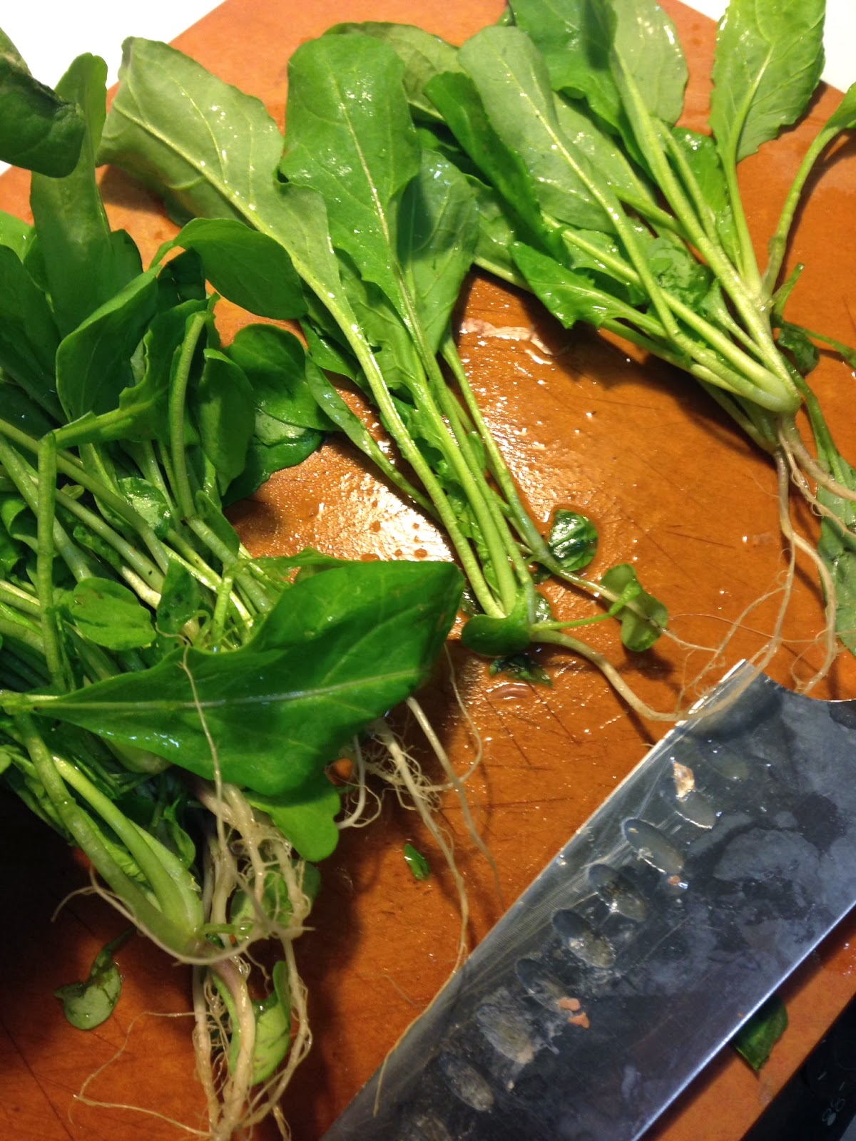 Mommy and Her Latte: 31 Days of Green: Day 11 Arugula