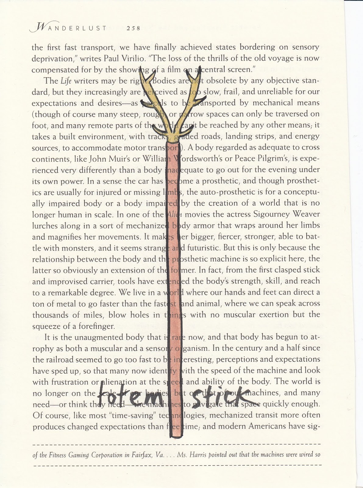 Day of Access: variations on walking sticks
