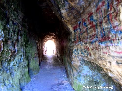 Cranberry Morning: Pier Natural Bridge Park - Rockbridge, Wisconsin