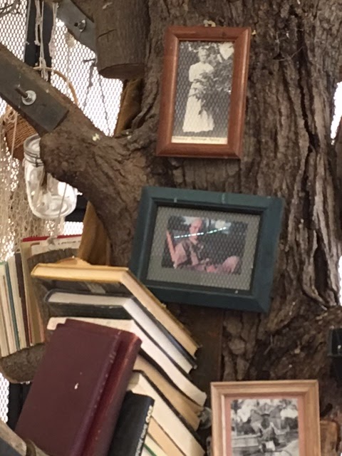 A Library for Birds... - The world of the Visual Arts...