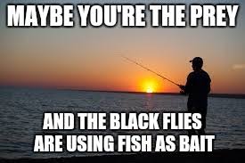 Lehigh Valley Ramblings: Black Flies Matter (and Bite)