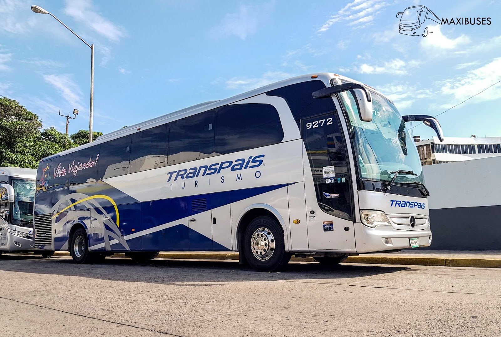 MAXIBUSES: TRANSPAÍS TURISMO (TURISMO)