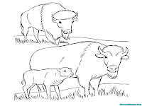 Mewarnai Gambar Bison | Mewarnai Gambar