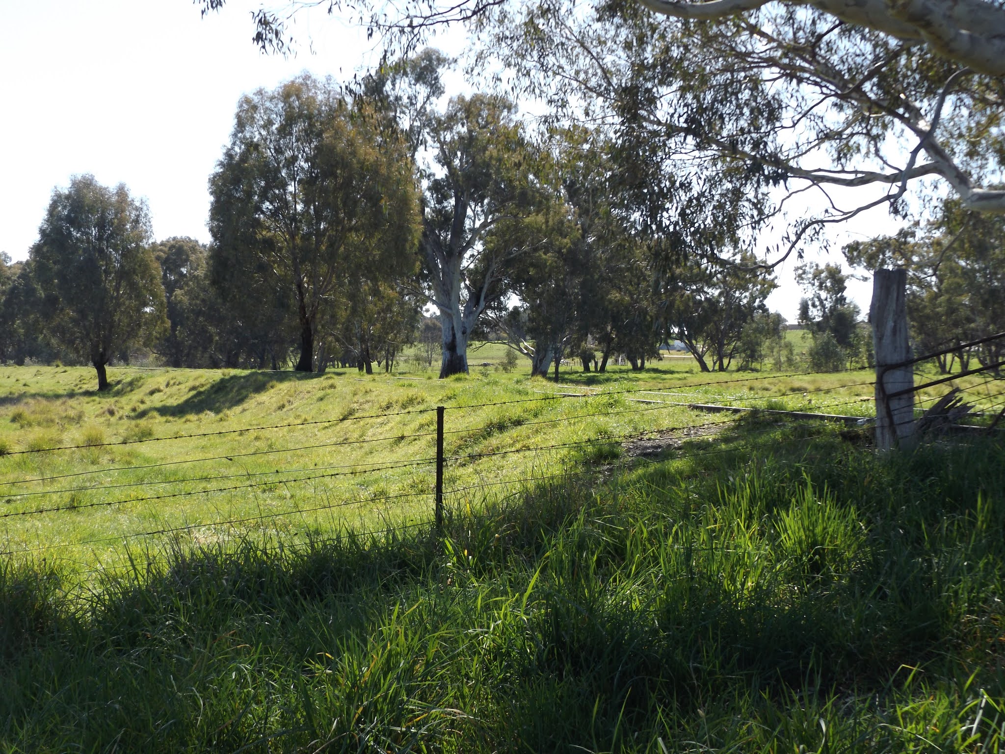 Building Wagga: A visit to Humula