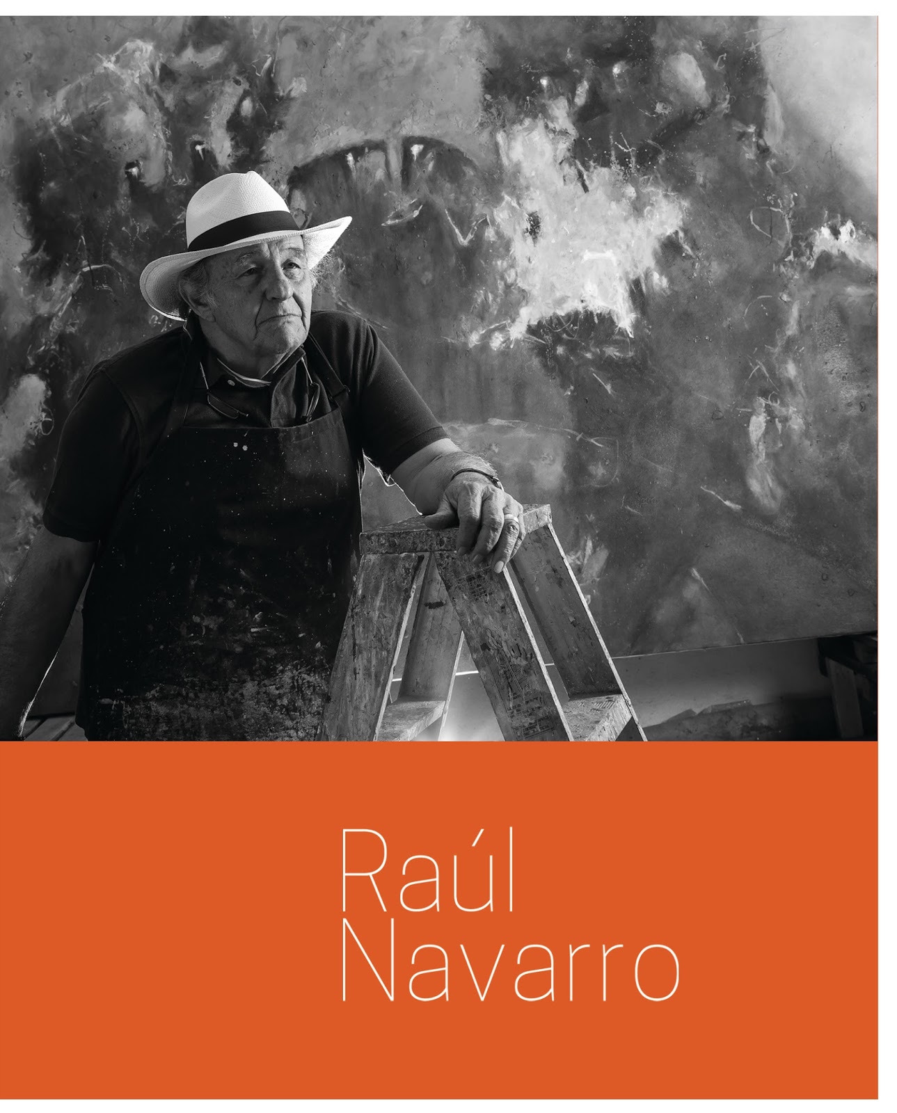 Raúl Navarro. Pintor