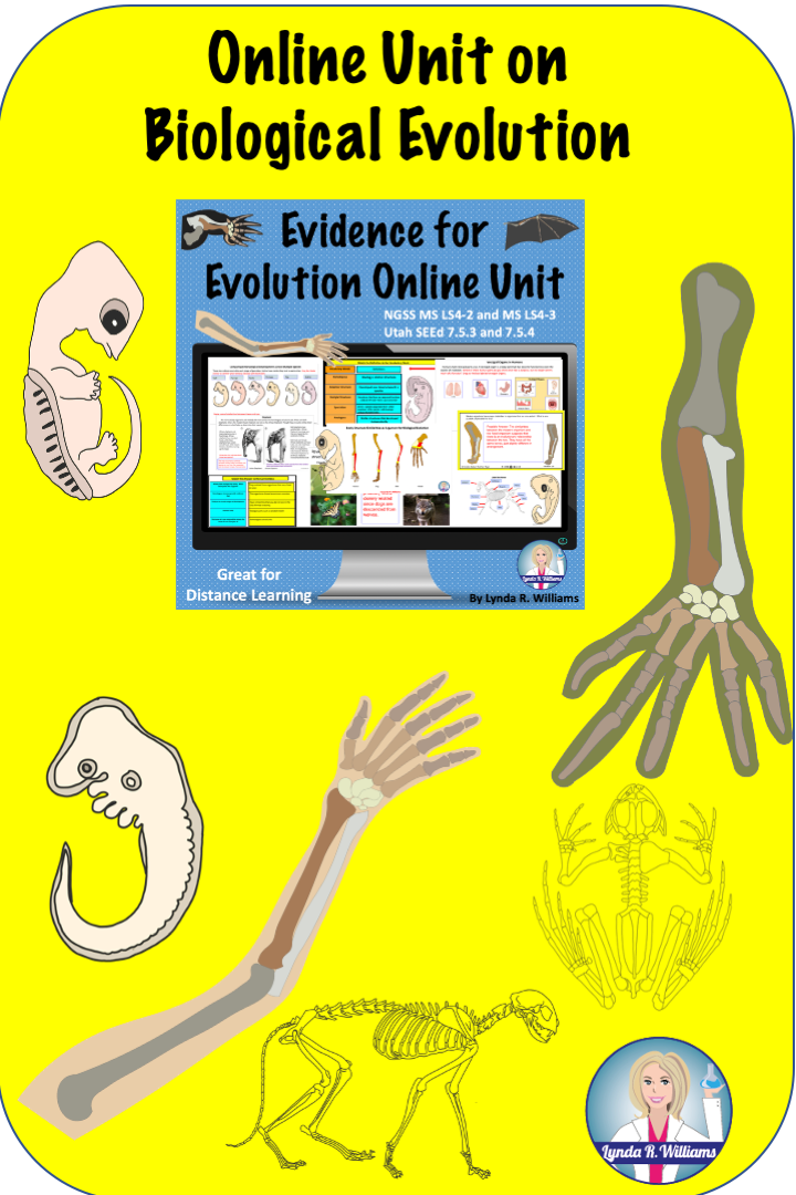 Comparative Anatomy NGSS MS-LS4-2 and MS-LS4-3 - Teaching Science with ...