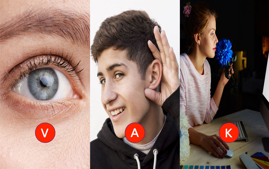 Estilos de aprendizaje ¡YA! (Visual - Auditivo - Kinestésico) 🥇