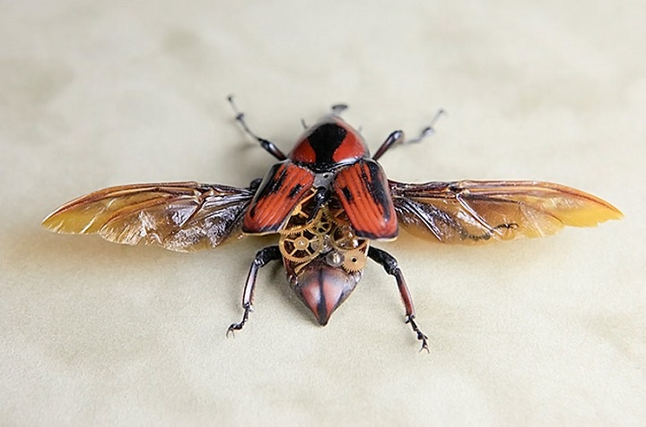 incredibly steampunk insect by Lindsay Bessanson ~ projects art craft ideas