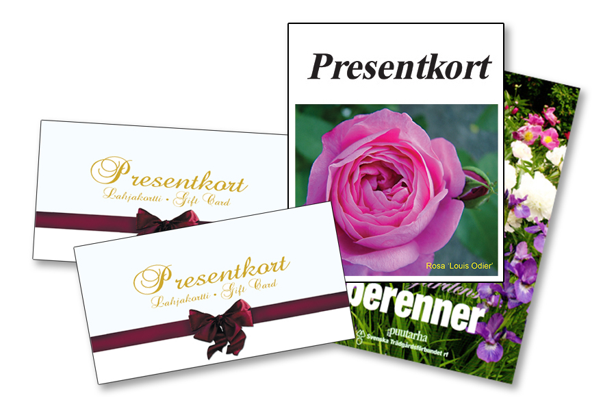 Närpesbloggen: Företagspresentation: Wickmans Plantskola