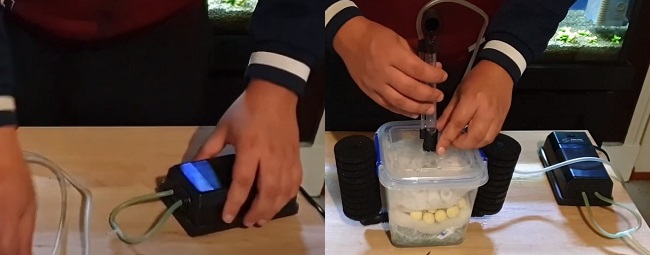 How to Build DIY Aquarium Air Filter at Home?