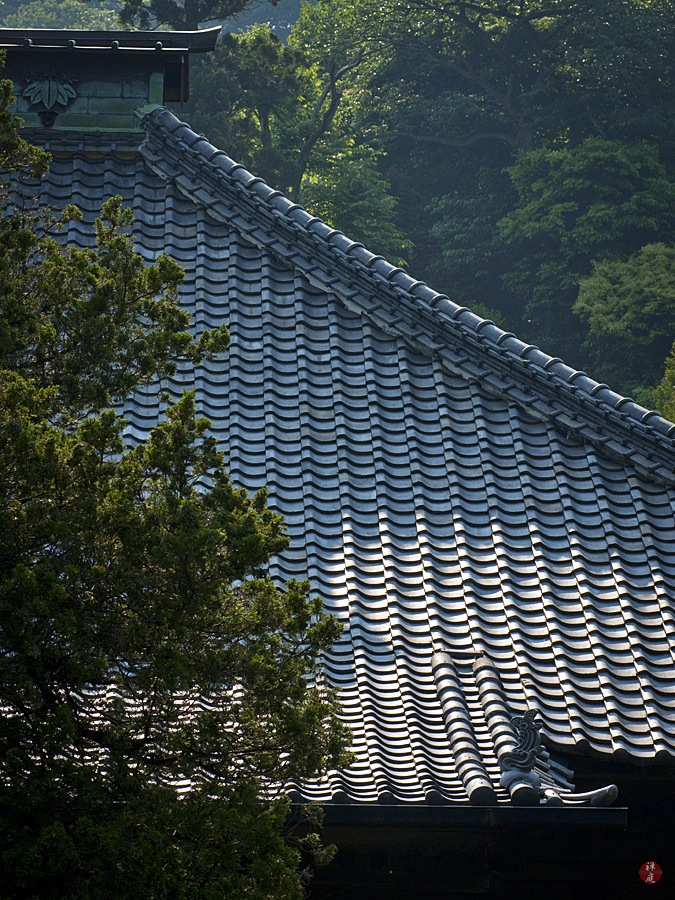 FROM THE GARDEN OF ZEN: May 2011