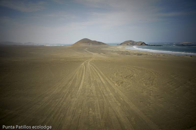 Eco-lodge Punta Patillos