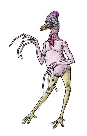 yog-blogsoth: HUMANOID BIRD