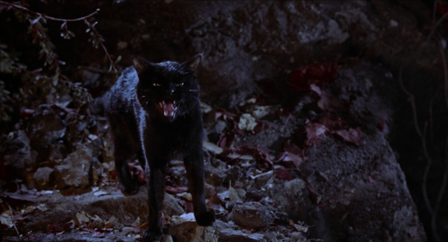 What Hocus Pocus Characters Should Disney Magic Kingdoms Add To the Game?