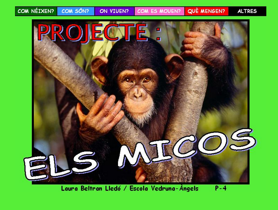 LA CLASE DE MIREN: mis experiencias en el aula: PROYECTO LOS MONOS: ¿CÓMO ES EL CUERPO DE UN MONO?