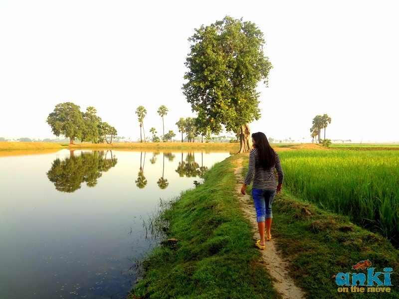 Bodhgaya:Rural Bihar,Photos,Videos | Anki On The Move