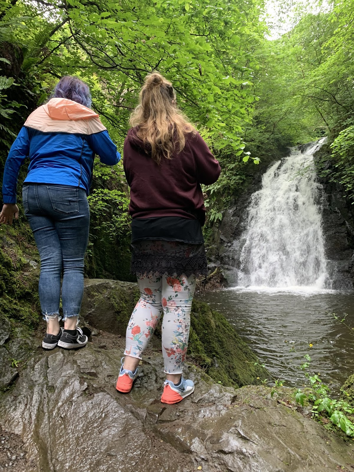 Animal, Nature, and Travel: Old Waterfall in Belfast, Northern Ireland
