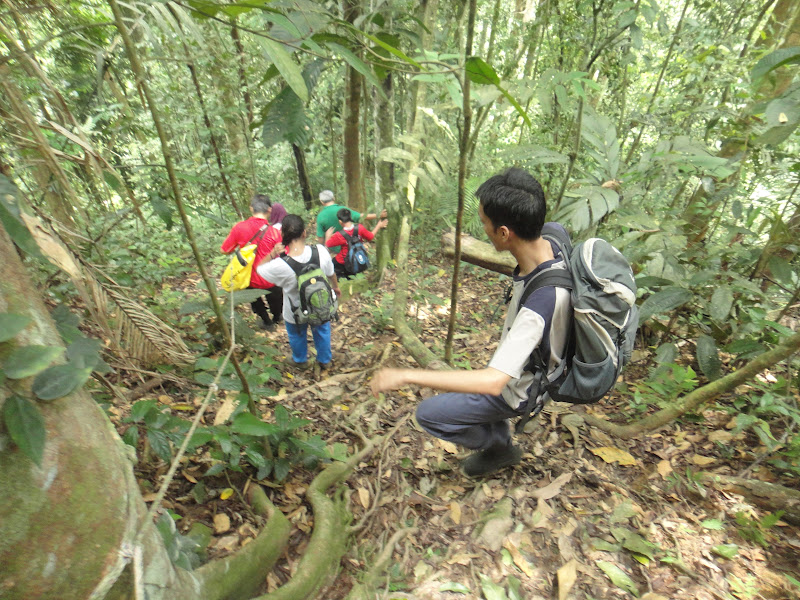 Taking the path less travelled ...: XPDC Rafflesia at Ulu Geroh, Gopeng ...