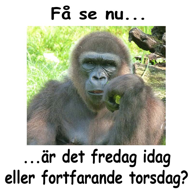 Tibbes roliga historier: Fredag!