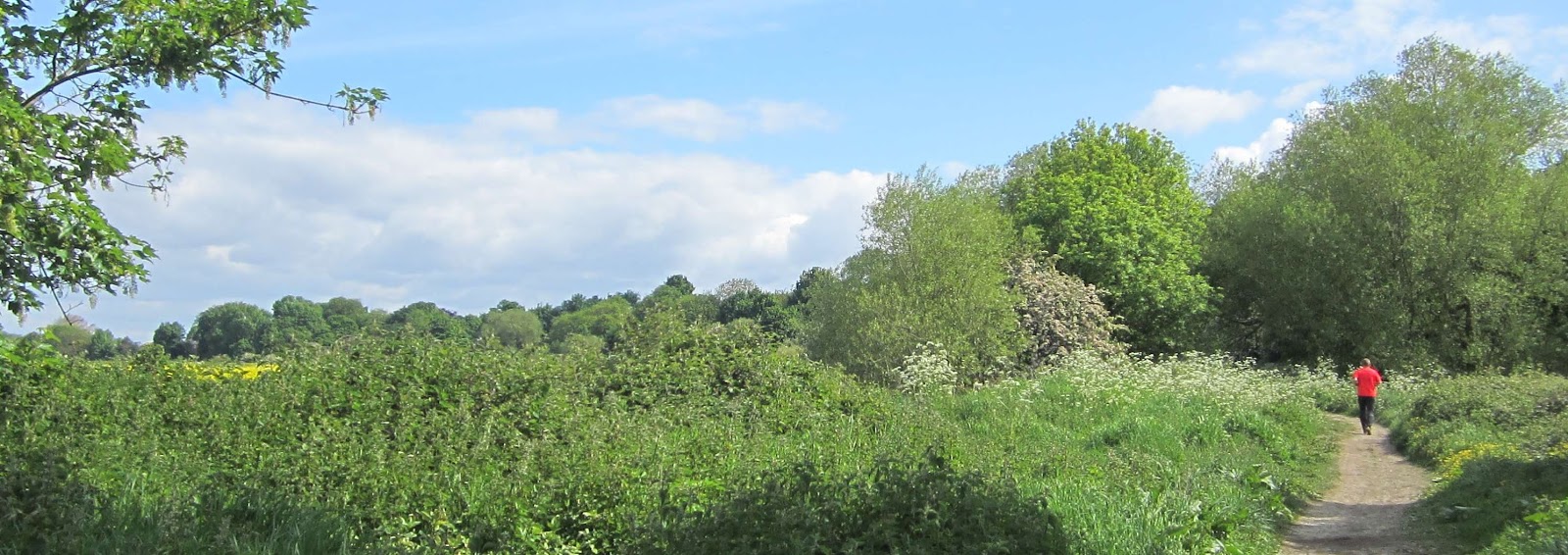 Walking The Peak: Hexthorpe, Warmsworth, Sprotbrough, York Road, and ...