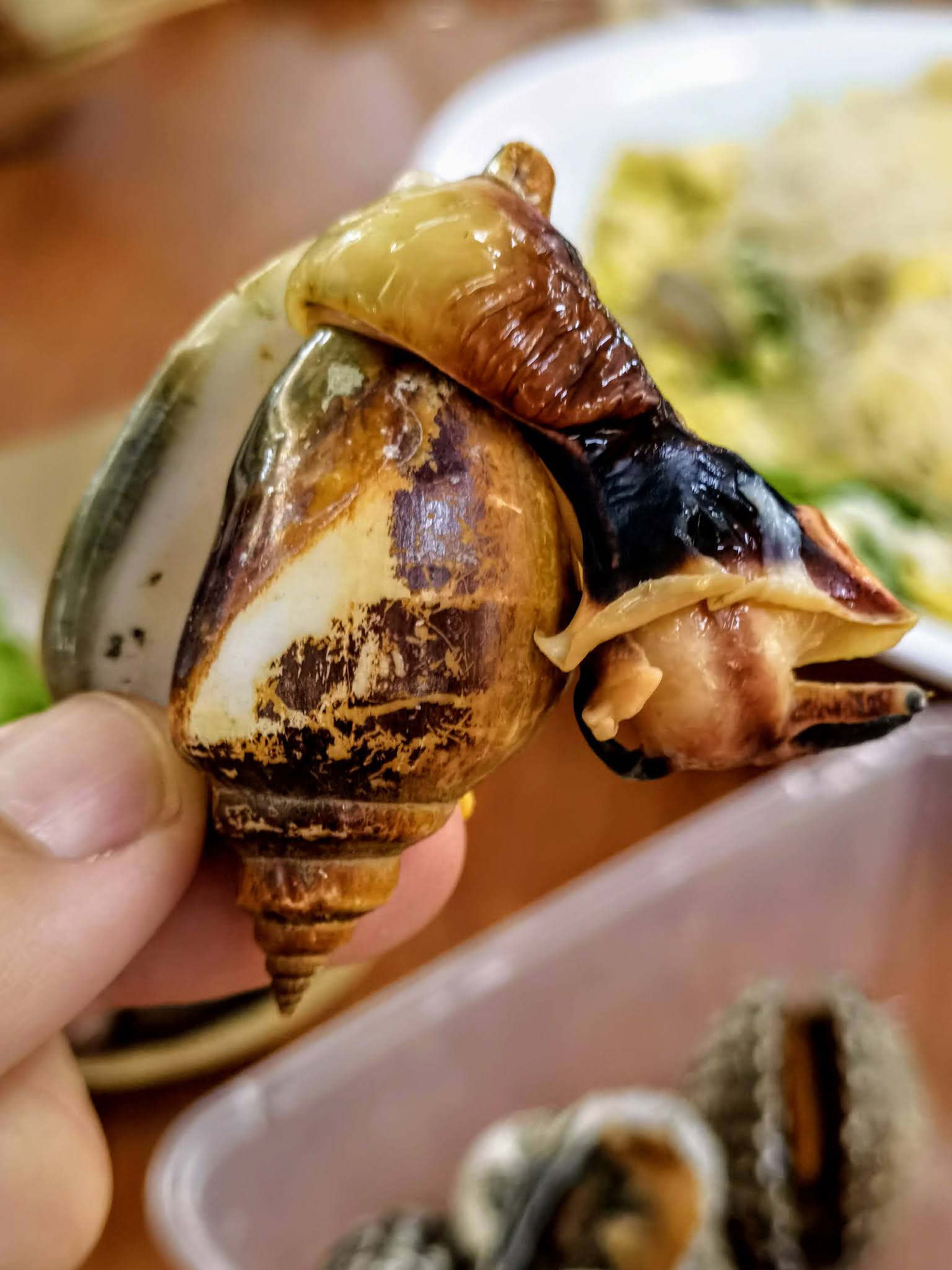 Kin Hoi Eat Shellfish Jumbo Cockles @ 6 Holland Close. See Hum Even ...