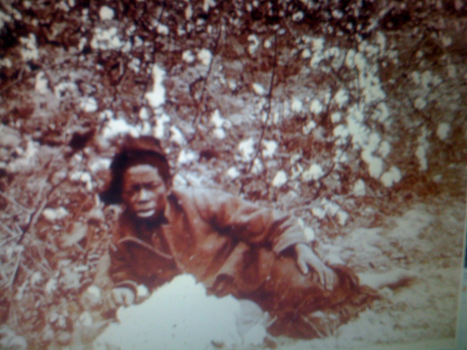 THE BLACK SOCIAL HISTORY:: BLACK SOCIAL HISTORY: OTA BENGA THE ...